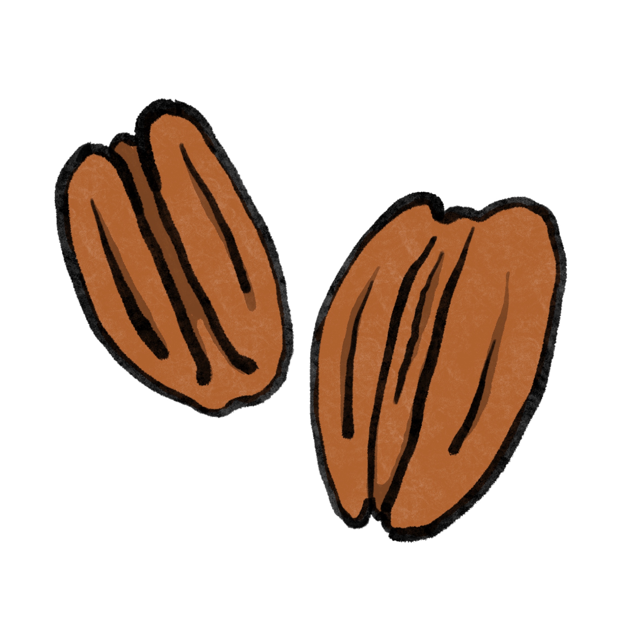 ピーカンナッツ / Pecan Nuts | OKI Kazuo | IIS